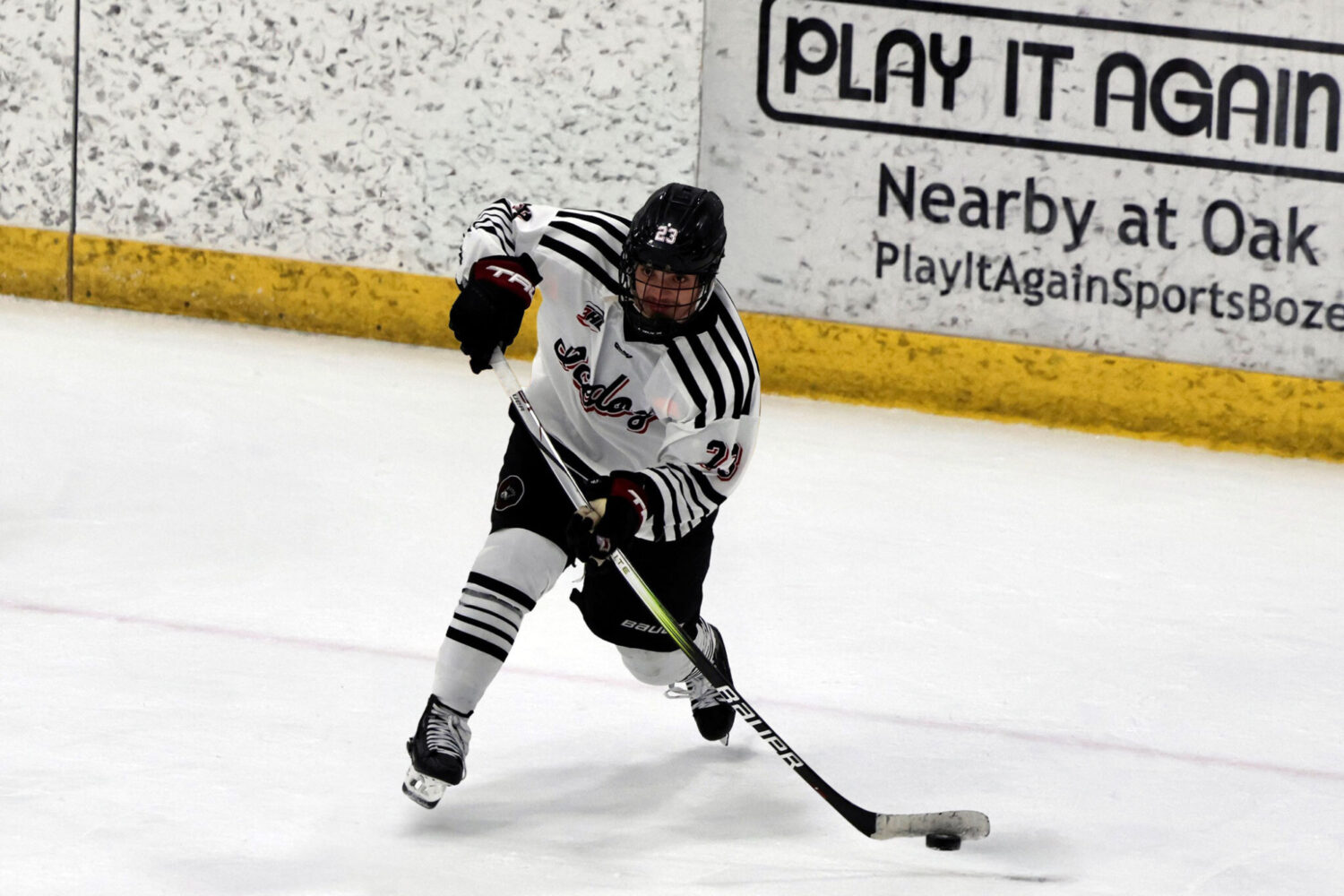 Gallatin Ice: Bozeman Ice Facility | Bozeman Ice Dogs
