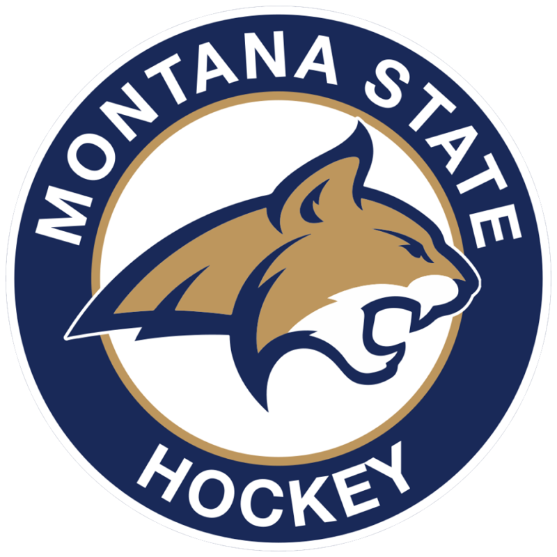 Gallatin Ice: Bozeman Ice Facility | MSU Hockey