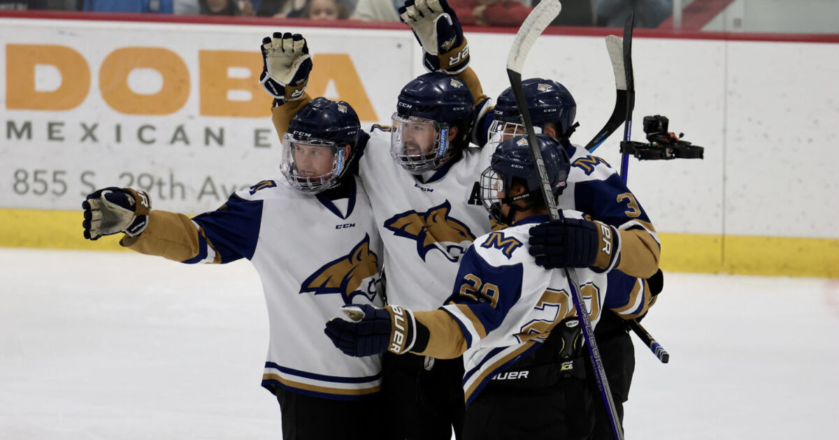 Gallatin Ice: Bozeman Ice Facility | MSU Hockey